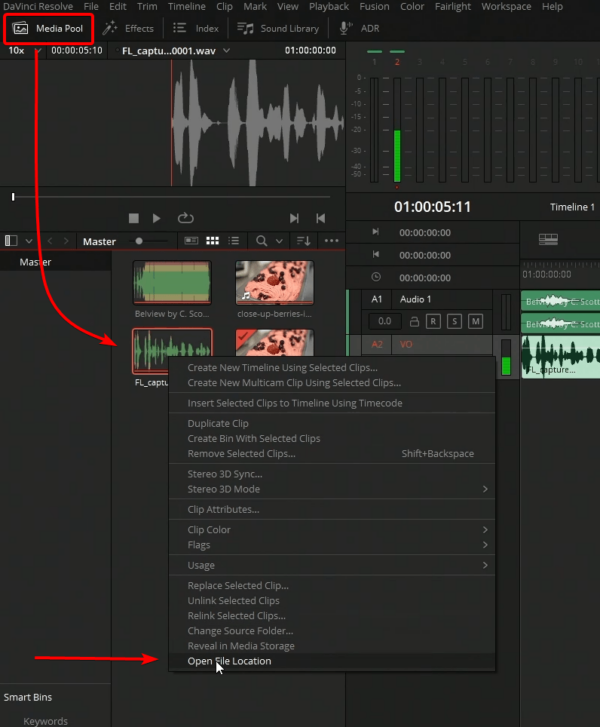 Quickly Record Voice Over in DaVinci Resolve - JayAreTV